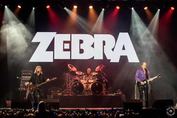 Zebra Concerts & Live Tour Dates: 2024-2025 Tickets | Bandsintown