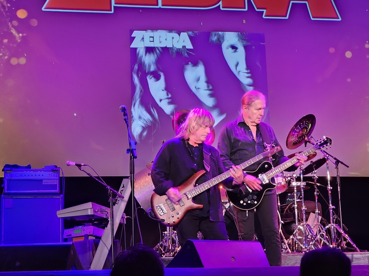 Zebra band tour | Portugalessence.com