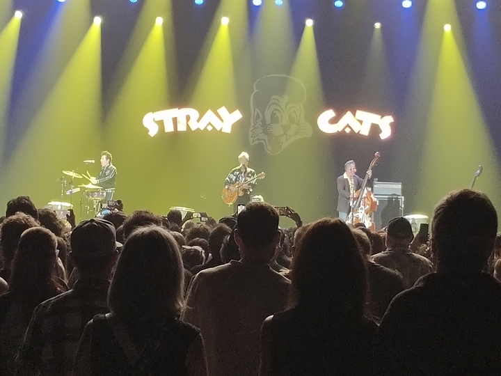 Stray Cats Band Logo Petition · Induct The Stray Cats Into The Rock