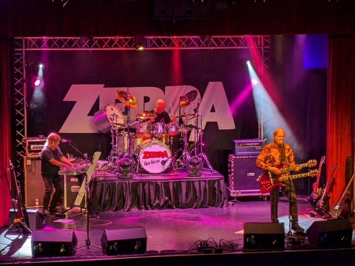 Zebra band tour | Portugalessence.com