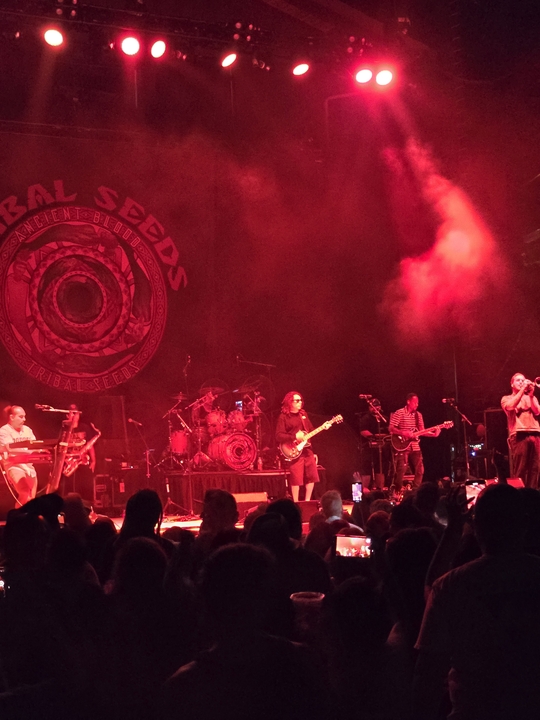 Tribal Seeds Representing