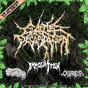 Immolation Logo