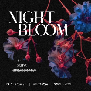 Elif (TR) New York Tickets, The DL Mar 28, 2024 | Bandsintown