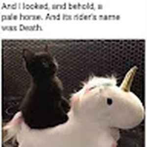 Revel Tickets & 2025 Concert Schedule - Albuquerque, NM | Bandsintown