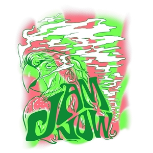 JAM NOW Naperville Tickets, Potter's Place and Two-Nine Martini Lounge ...