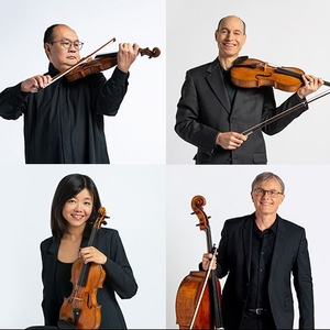 Chicago Symphony Orchestra Chicago Tickets, Mandel Hall Feb 02, 2025 ...