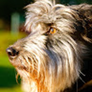 BALTHVS Concerts & Live Tour Dates: 2025-2026 Tickets | Bandsintown